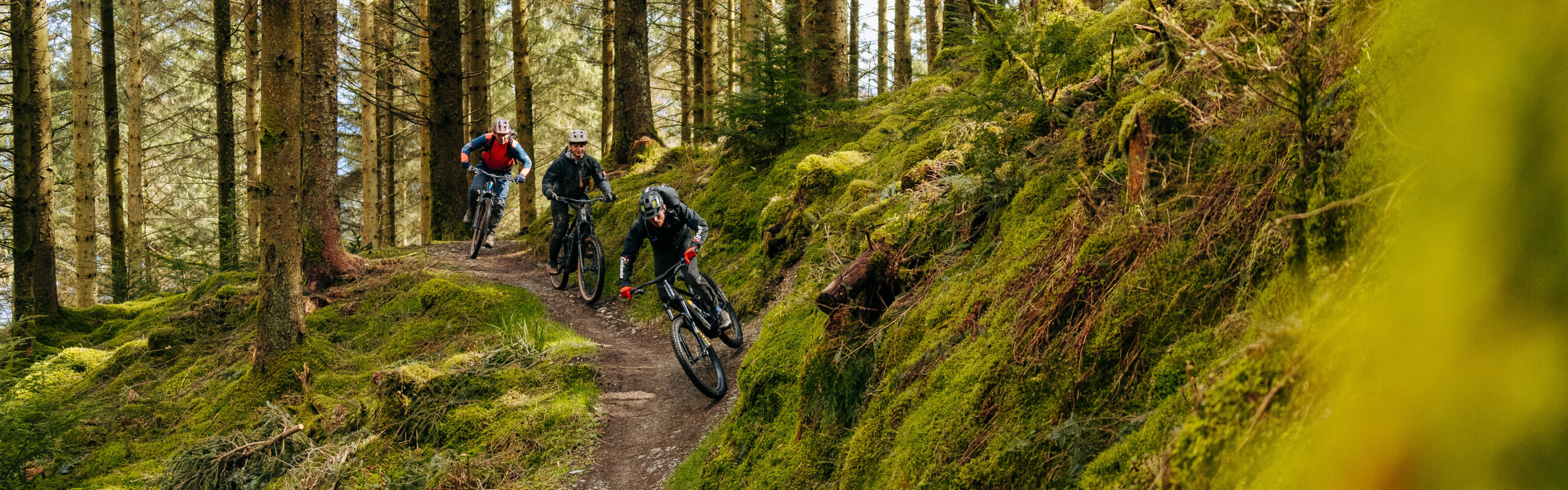 Demo Mountain Bikes - Cyclewise